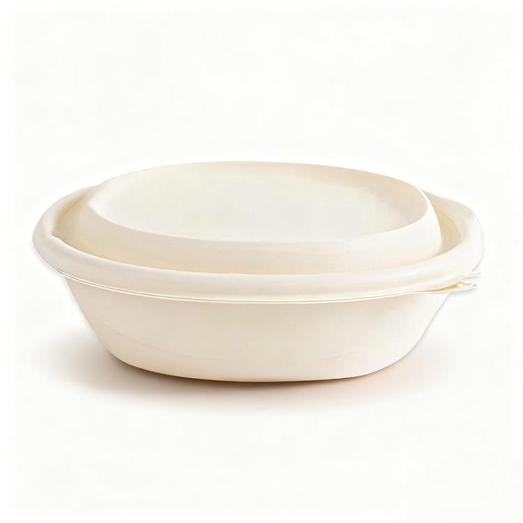 Disposable Food Delivery Lunch Box Containers – FoodDeliverBag